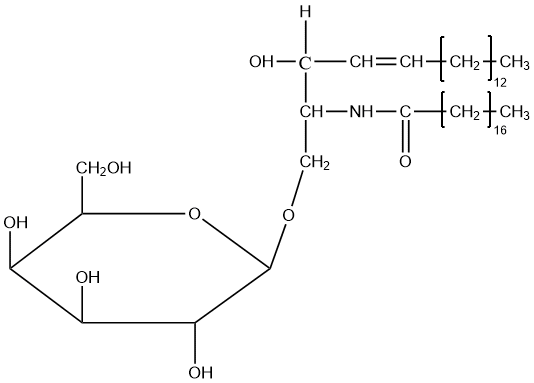 Lípidos | Glicolípidos