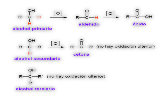 Alcoholes | Propiedades Químicas